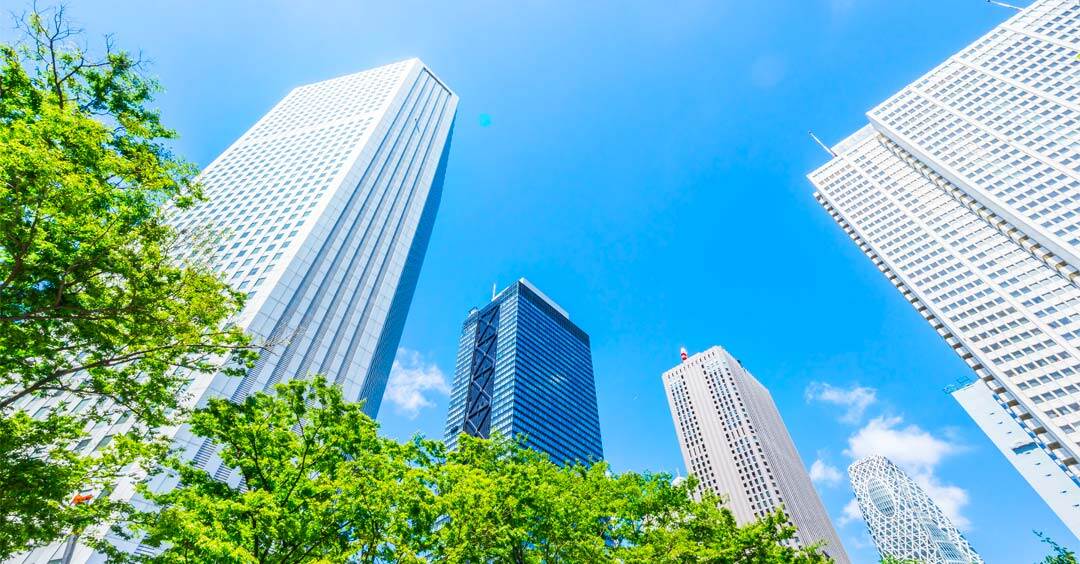 Avvale | Case Study | Accounts Payable Process Optimization in Construction